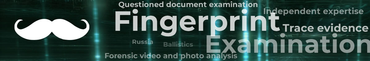 Forensic examination. Independent forensic expertise